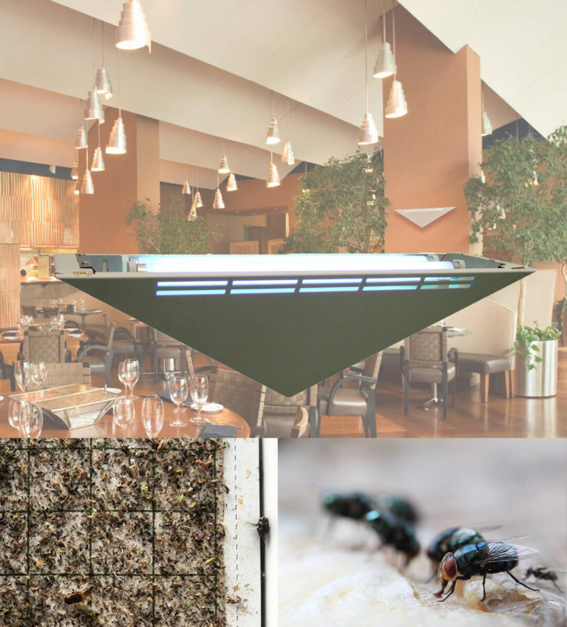 IKARI for Restaurant - Ikari Trading